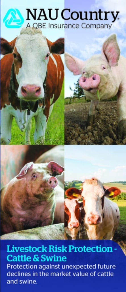 Livestock Insurance & Risk Protection | AgQuest Financial Services